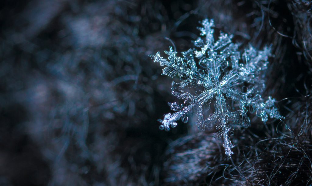 Halton Region issues cold warning | INhalton