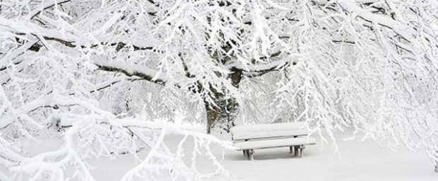 Snow is Expected to Hit the Halton Region | INhalton