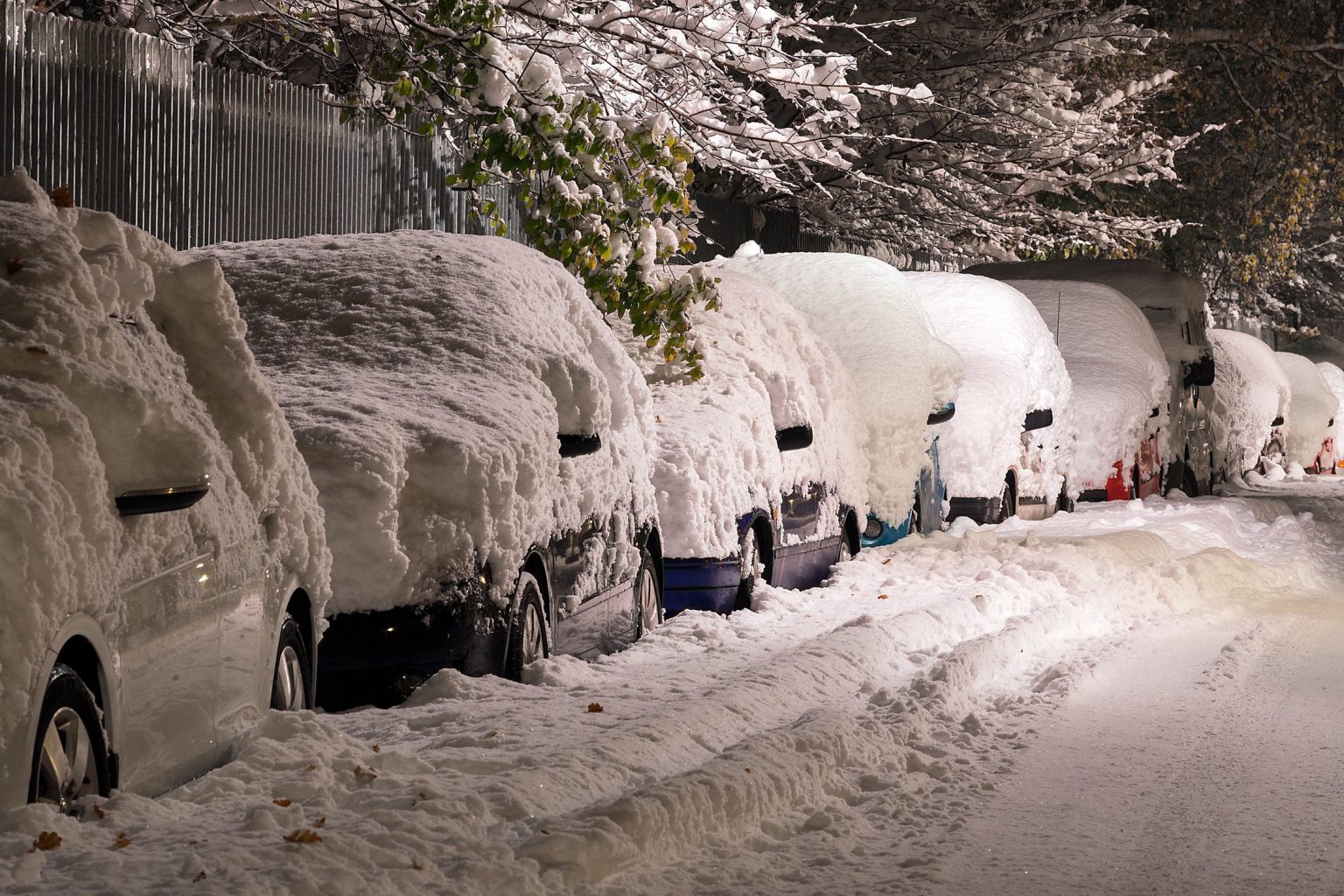 Up to 20 cm of Snow Possible in Halton | INhalton