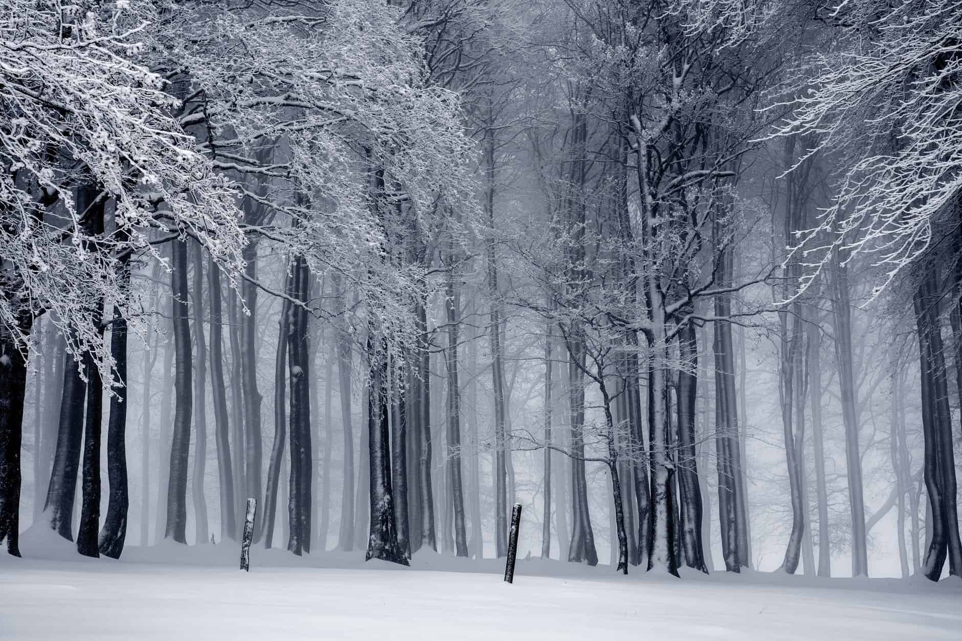 Snow and ice pellets in the forecast for Halton | INhalton