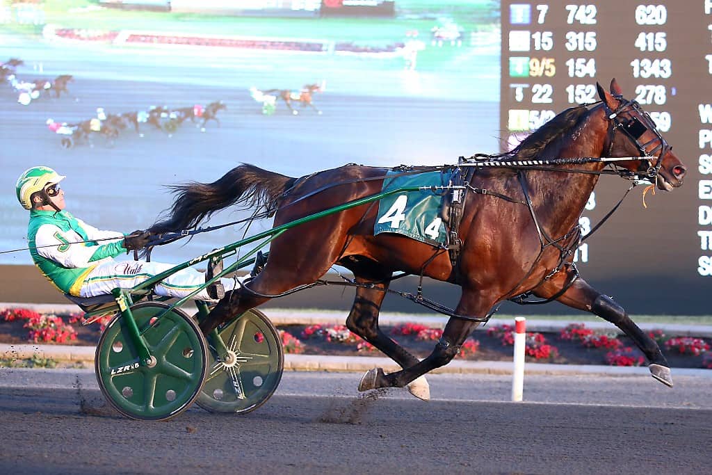 Pacing superstar Bulldog Hanover draws No. 6 spot for Breeders Crown at ...