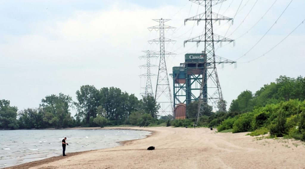 Hydro towers will stay put on Burlington Beach | INhalton